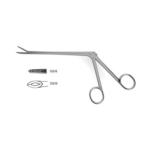 Hoen Ivd Rongeur - Allaya