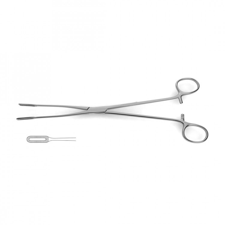 Fletcher (Javerts) Sponge Forceps - Allaya